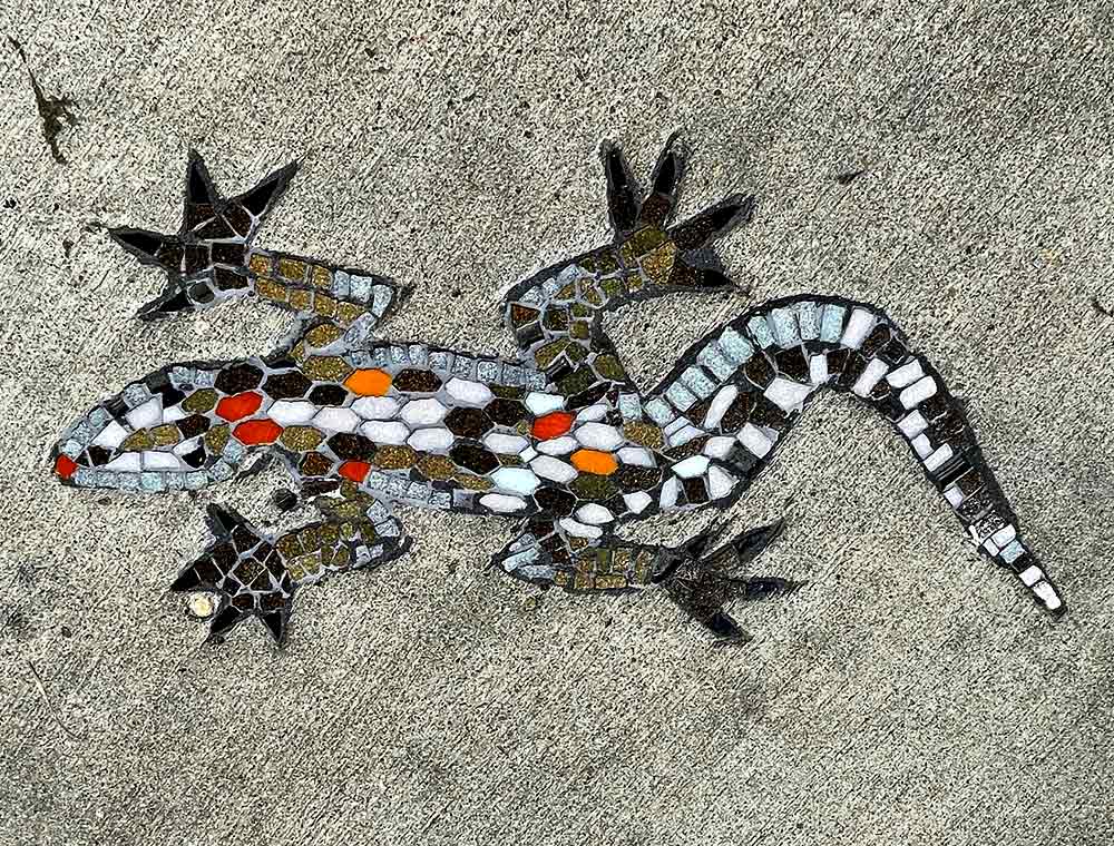 Friends of the Carmel Valley Library – Raising funds for library programs